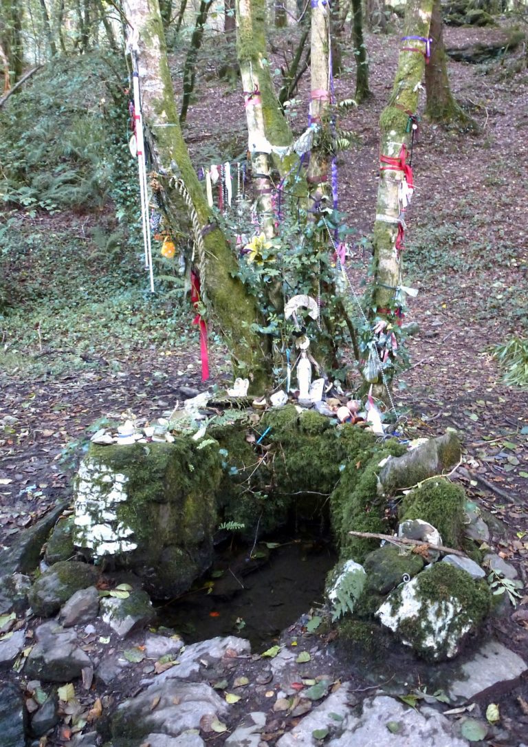Sacred Trees: Rag Tree, Rock Tree, Witch Tree - EarthSanctuaries