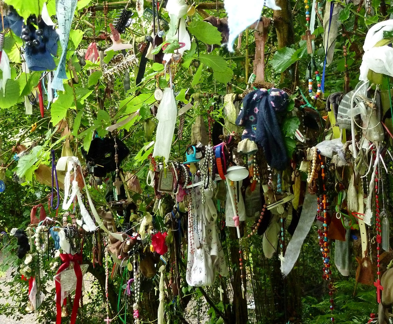 Sacred Trees: Rag Tree, Rock Tree, Witch Tree - EarthSanctuaries