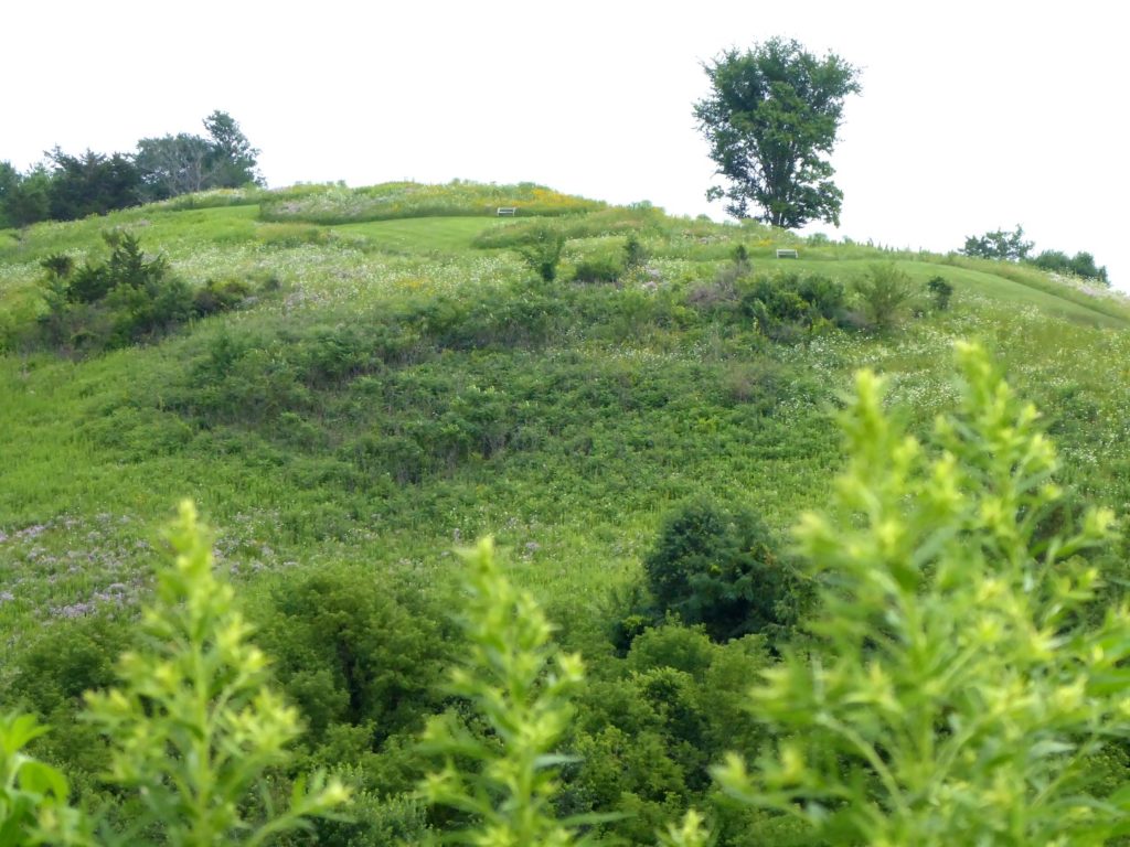 Sacred Landscape: Native American Effigy Mounds - EarthSanctuaries