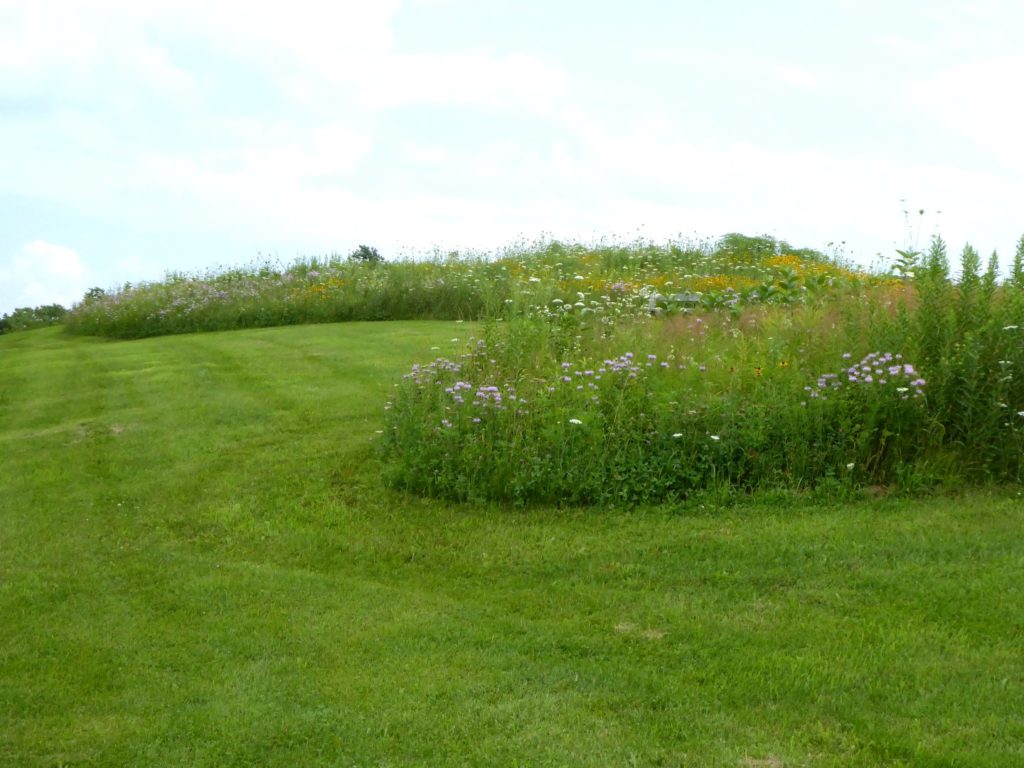 Sacred Landscape: Native American Effigy Mounds - EarthSanctuaries