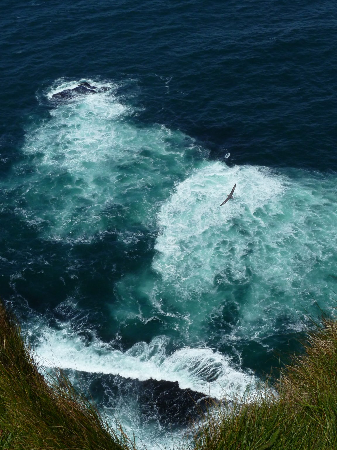 The Cailleach: A Witch for Our Times - EarthSanctuaries