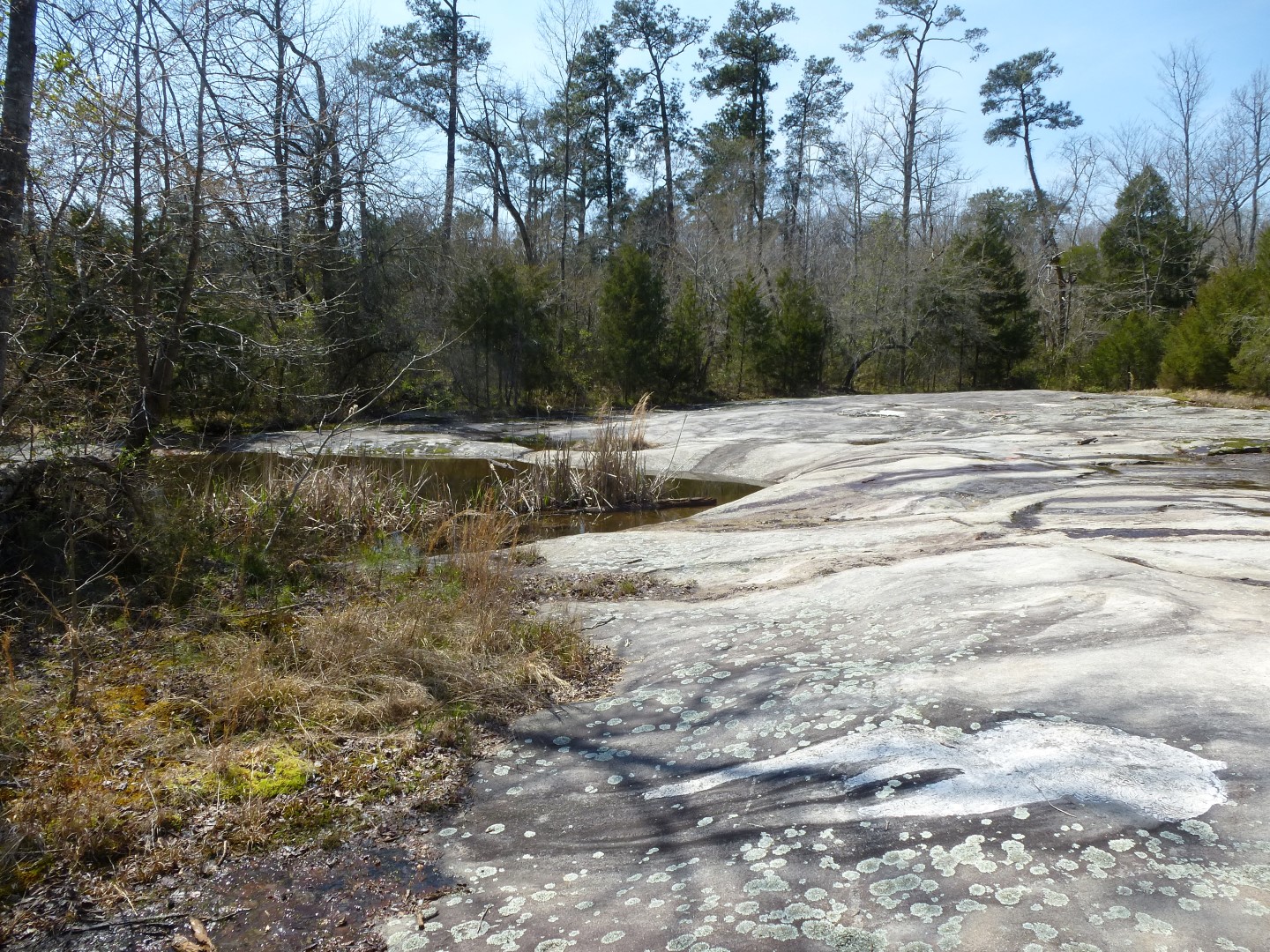 Sacred Ground: A Whale of a Tale - EarthSanctuaries