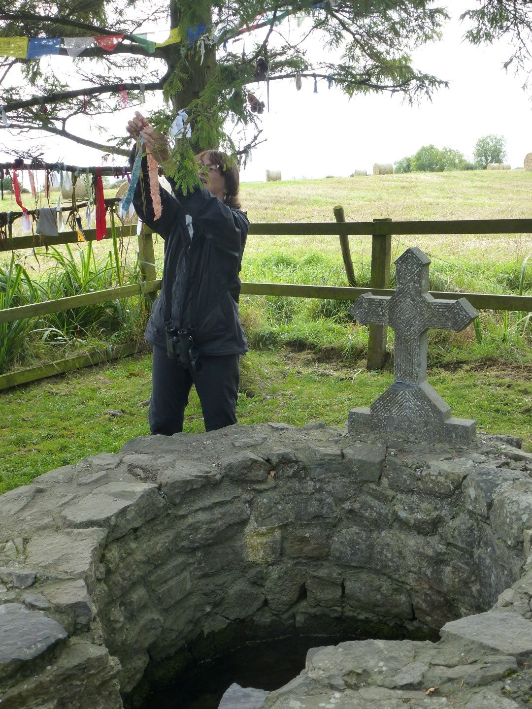 Wetlands: Holy Wells and Sacred Springs - EarthSanctuaries