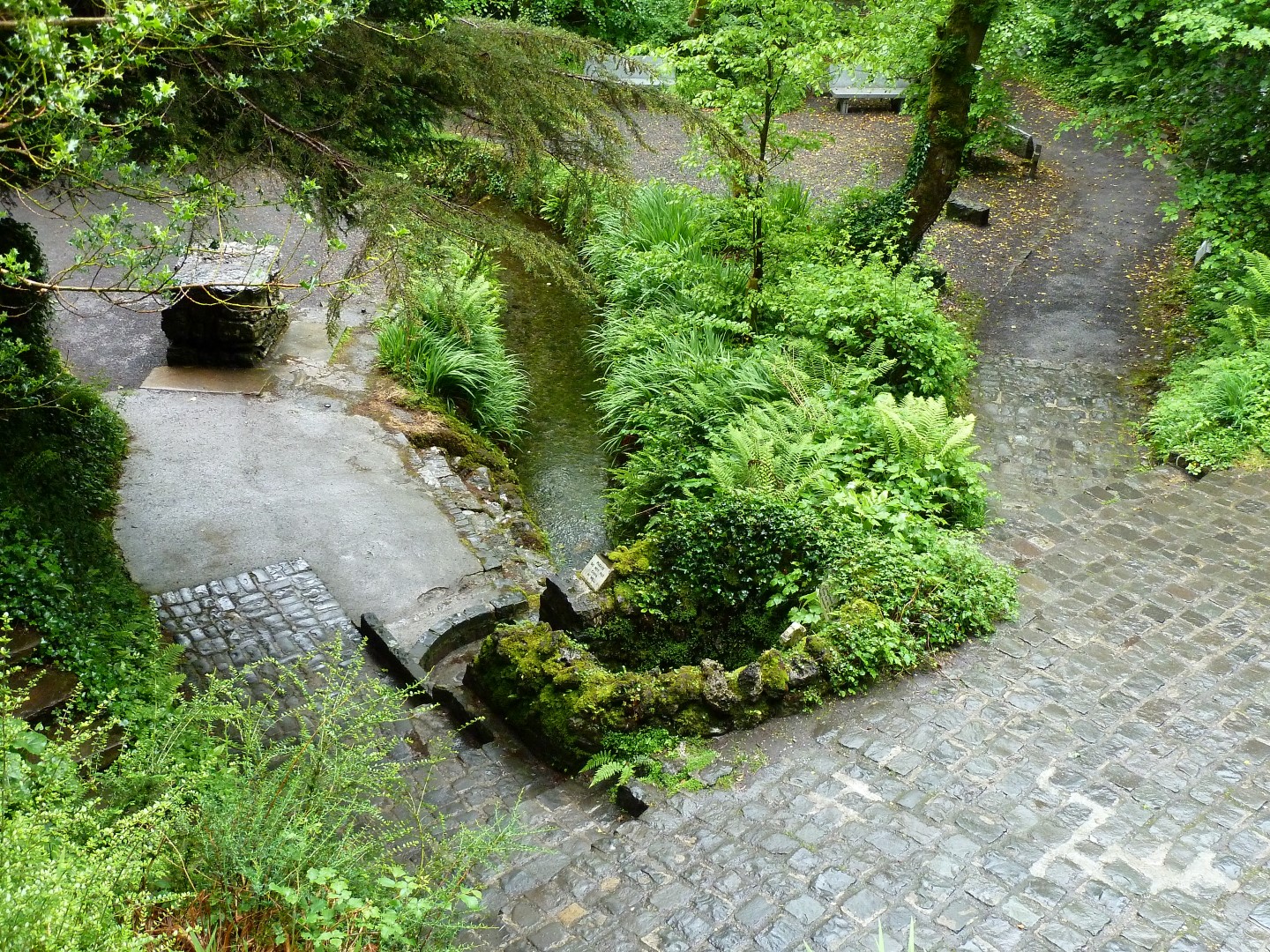 Wetlands: Holy Wells and Sacred Springs - EarthSanctuaries
