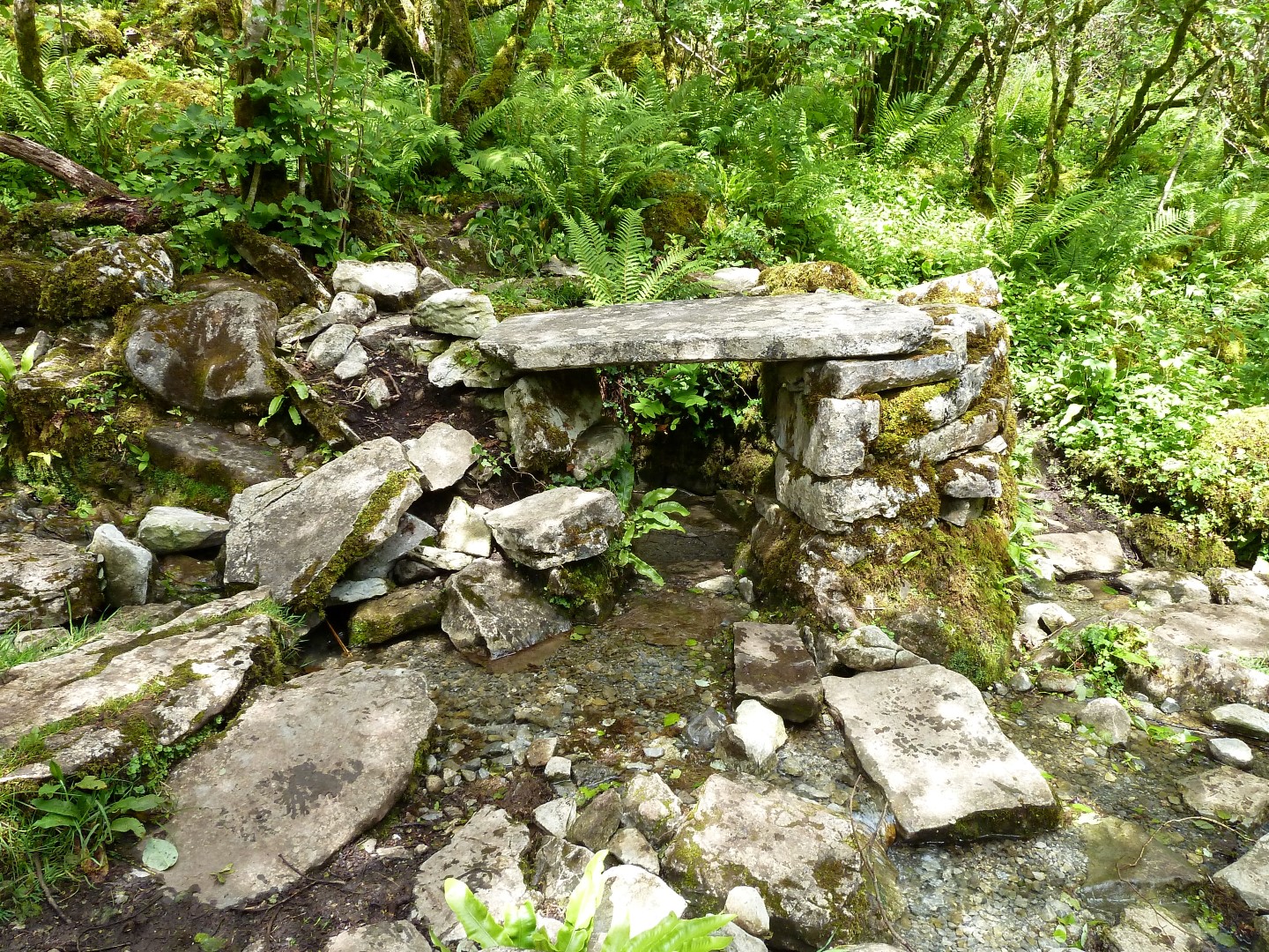 Wetlands: Holy Wells and Sacred Springs - EarthSanctuaries