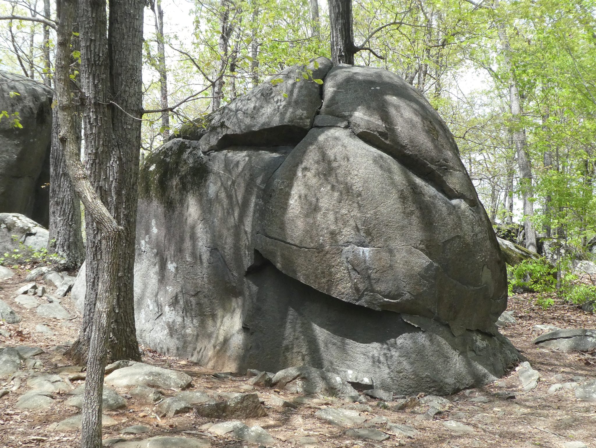 The Stone Beings of Ridges Mountain - EarthSanctuaries